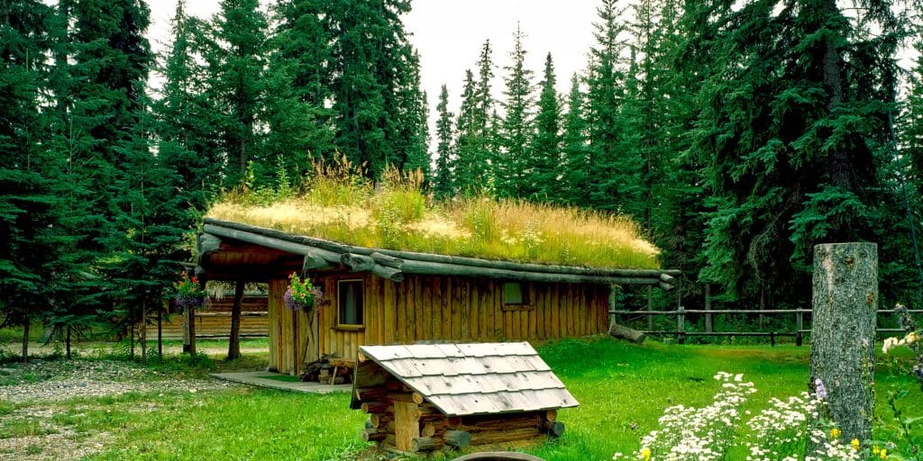 Groendak schuur: aanleg & kosten [+ Valkuilen]